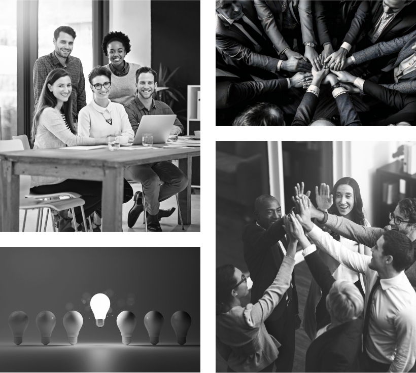 LMS solutions to revolutionize learning | PixelMechanics